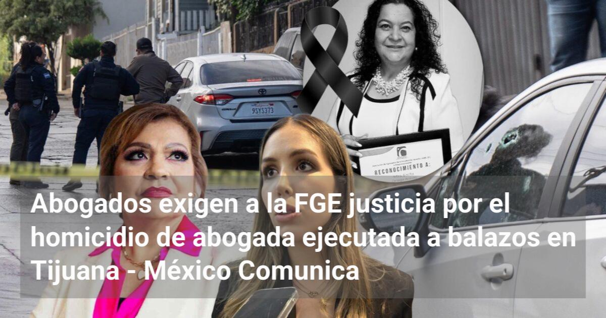 Abogados exigen a la FGE justicia por el homicidio de abogada ejecutada ...